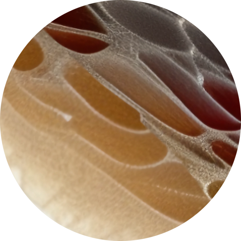 Biomaterial Membrane and Medical Devices - ABC